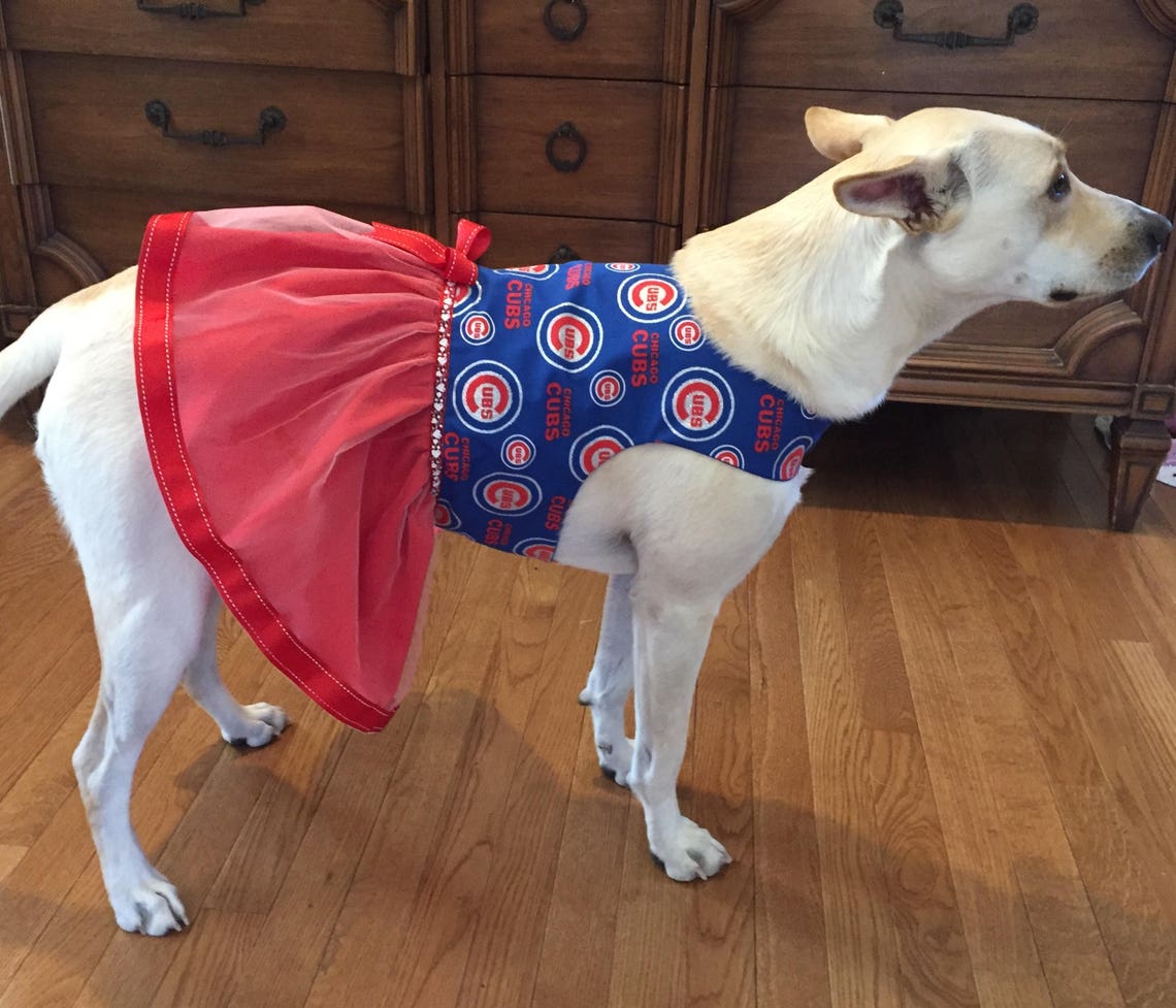Chicago Cubs Dog Dress, Dog Tutu Dress, Cubs Tulle Dog Dress, Chicago ...