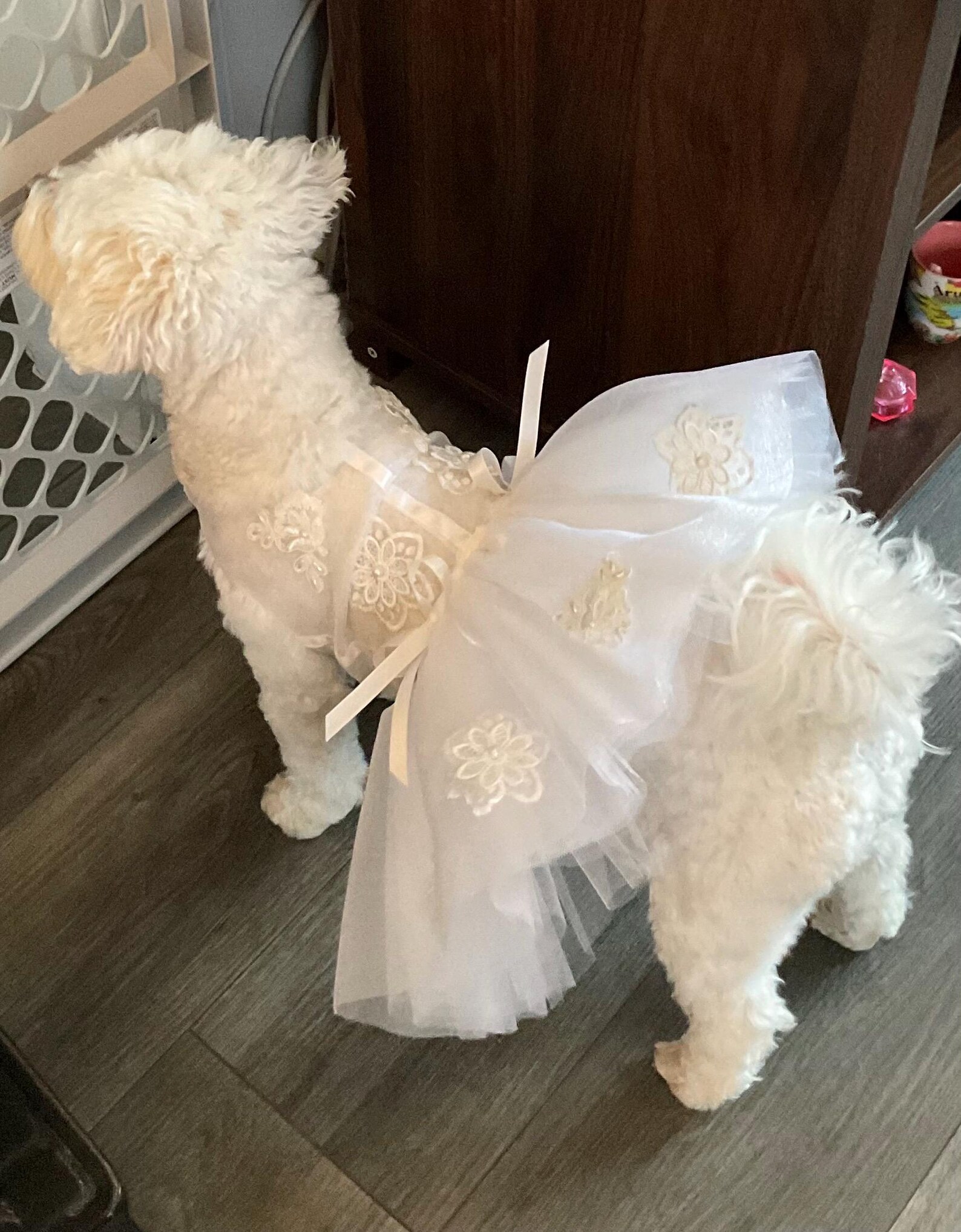 Fancy White Sheer Dog Dress Flower Embellished Organza Dress, Bridal ...