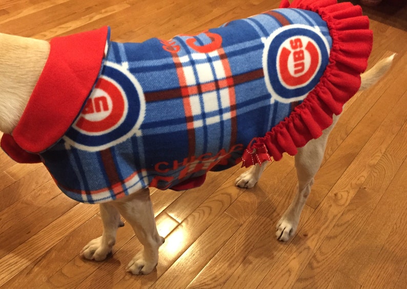Chicago Cubs Dog Dress Vest Pet Girly Dog Outfit 2 Layers of - Etsy