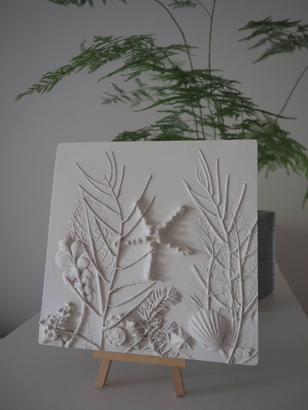 Starfish, Shell, Relief Image, Wall Decoration, Gift, Plaster - Etsy