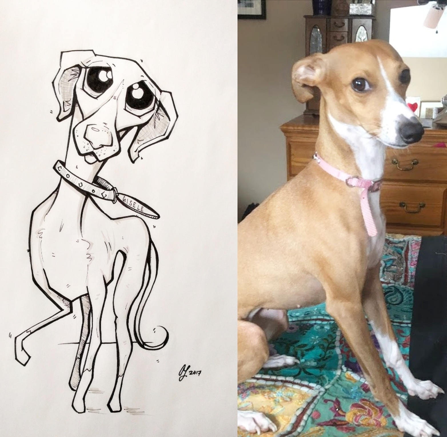 Custom Pet/dog Drawing - Etsy