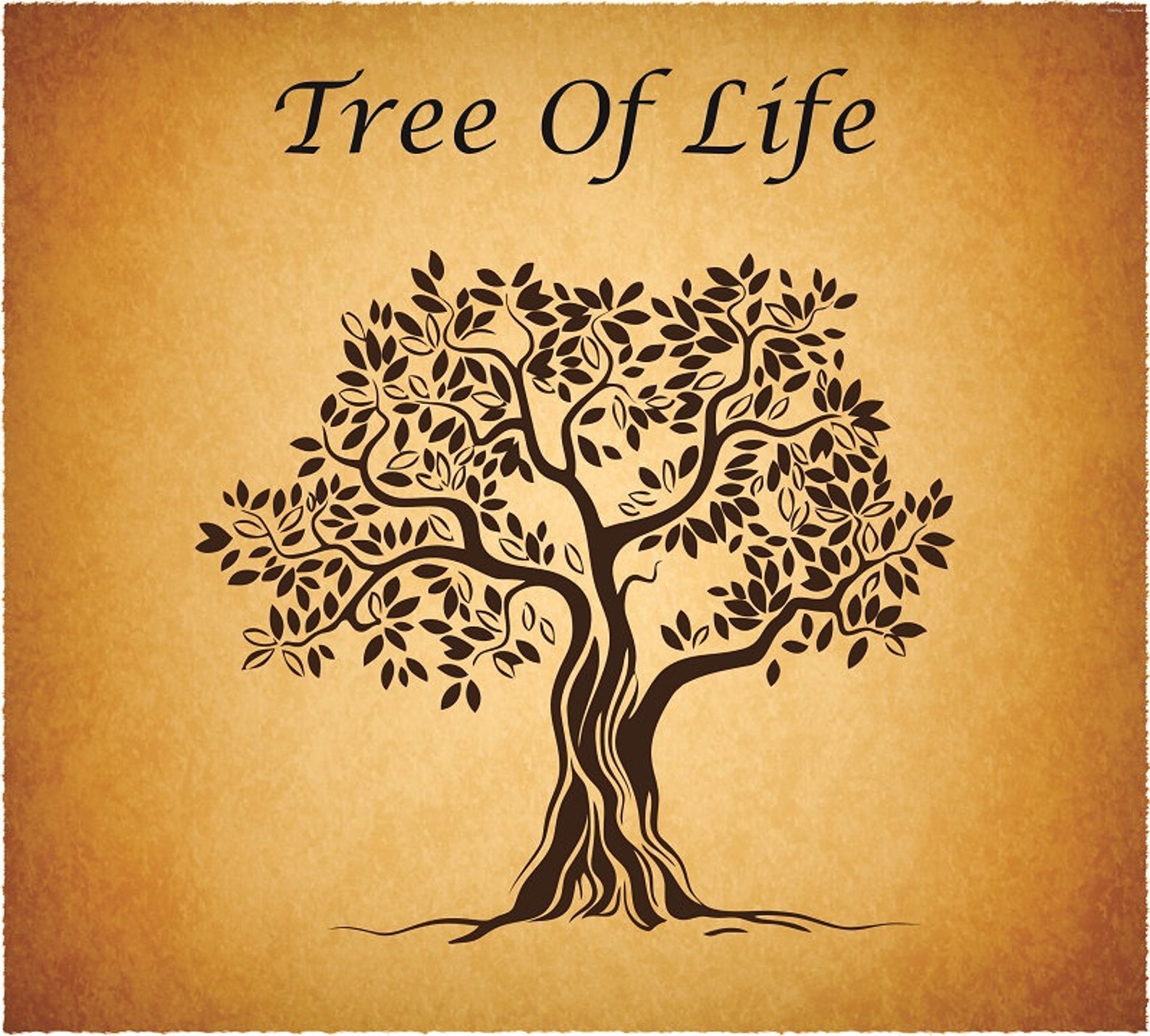 Tree of Life Svg, Love Tree, Tree Cut File, Vector Tree, Tree ...