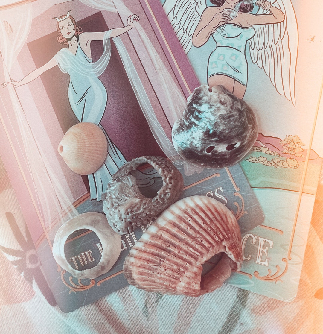 Handpicked Seashell Lot, Seashell Pendant, Ocean Witch Tools, Sea Witch ...