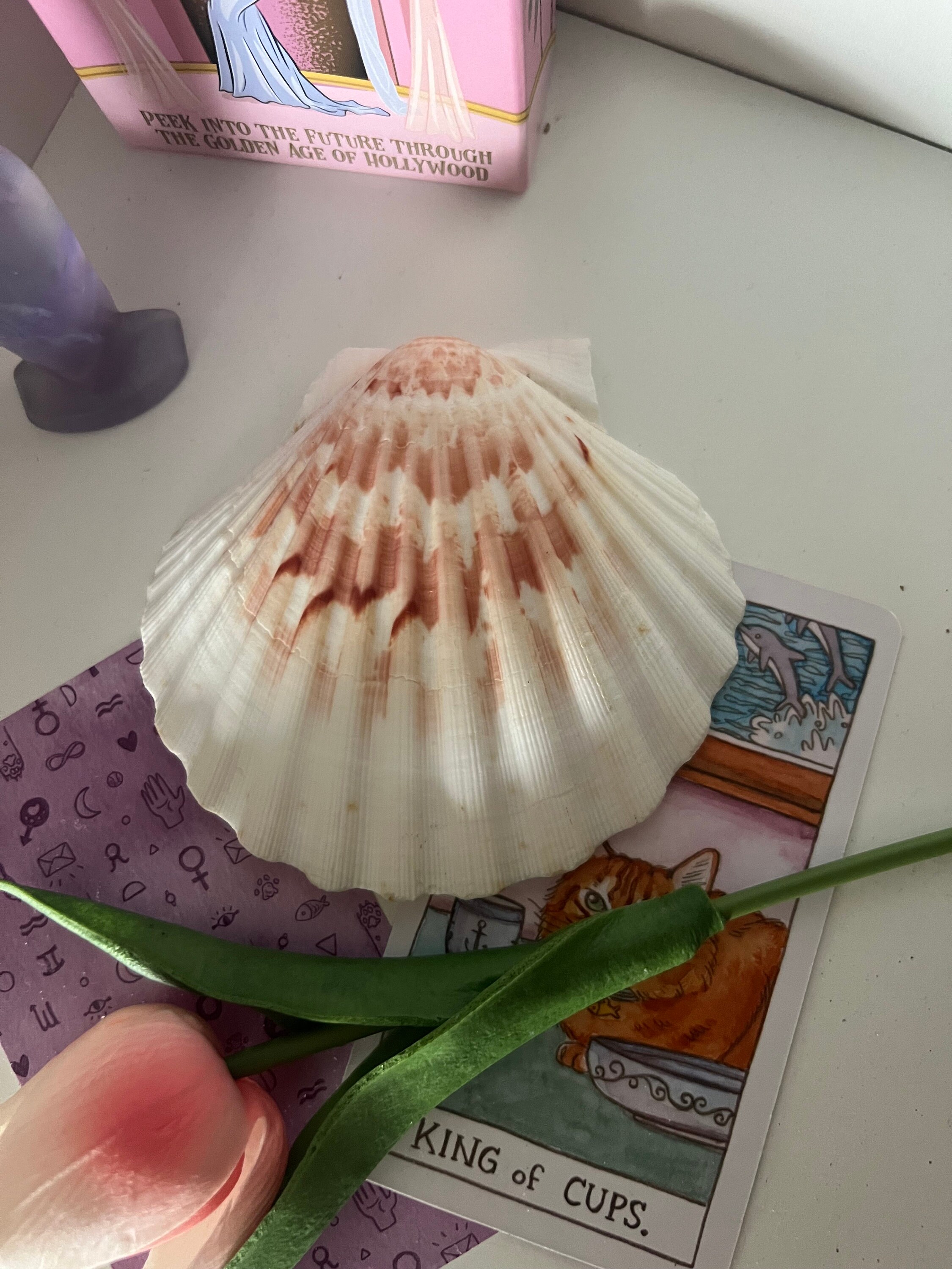 Real Seashell Offering Plate, Large Scallop Shell Offering Bowl, Sea ...