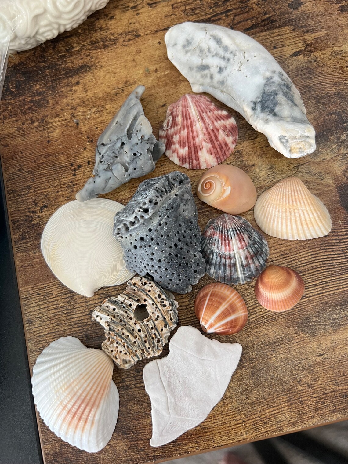 Handpicked Sea Witchcraft Kit, Sea Witch Kit, Beginner Witch Ocean ...