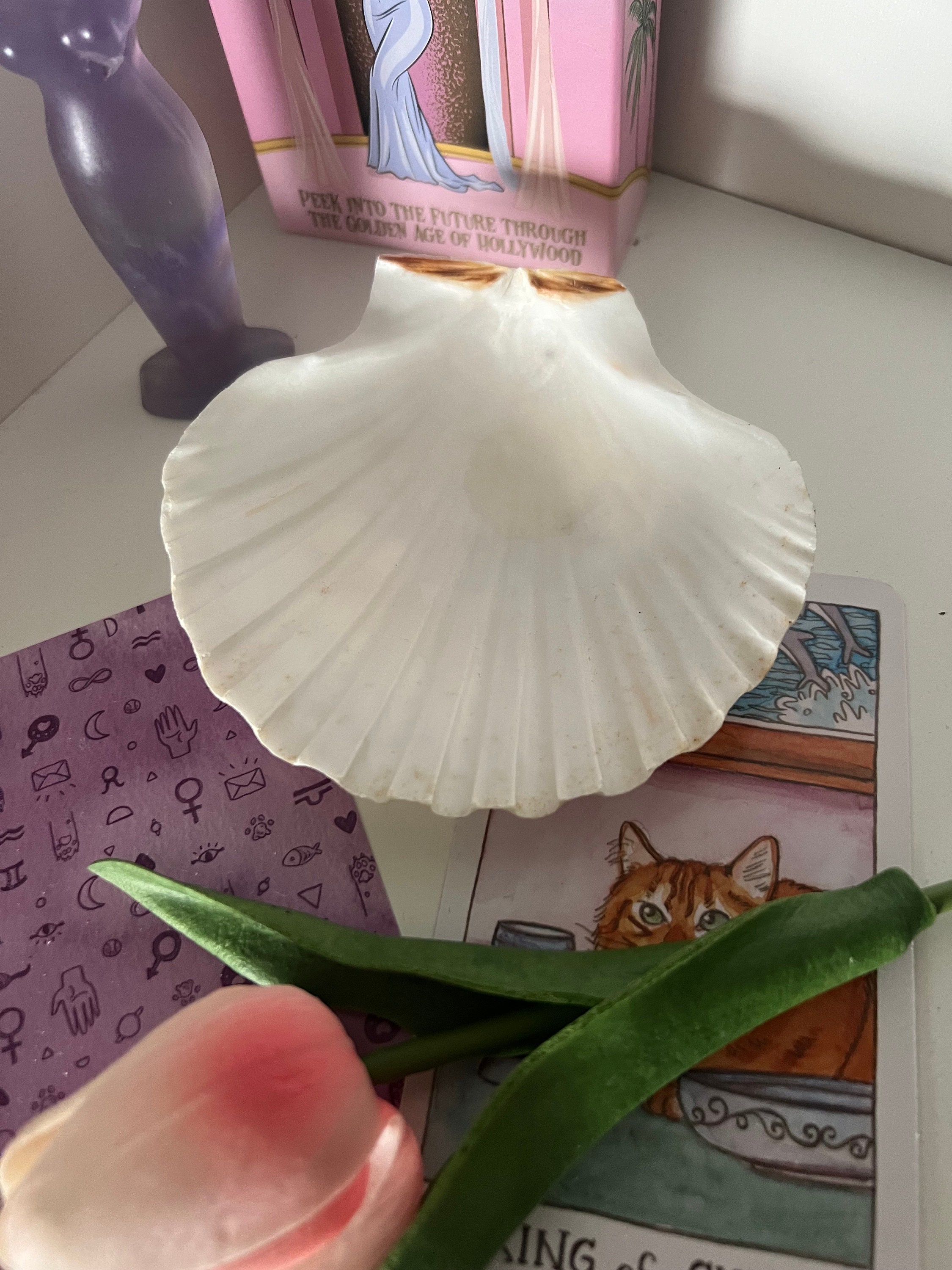 Real Seashell Offering Plate, Large Scallop Shell Offering Bowl, Sea ...