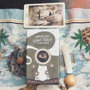 Transient Light Tarot by Ari Wisner - Etsy