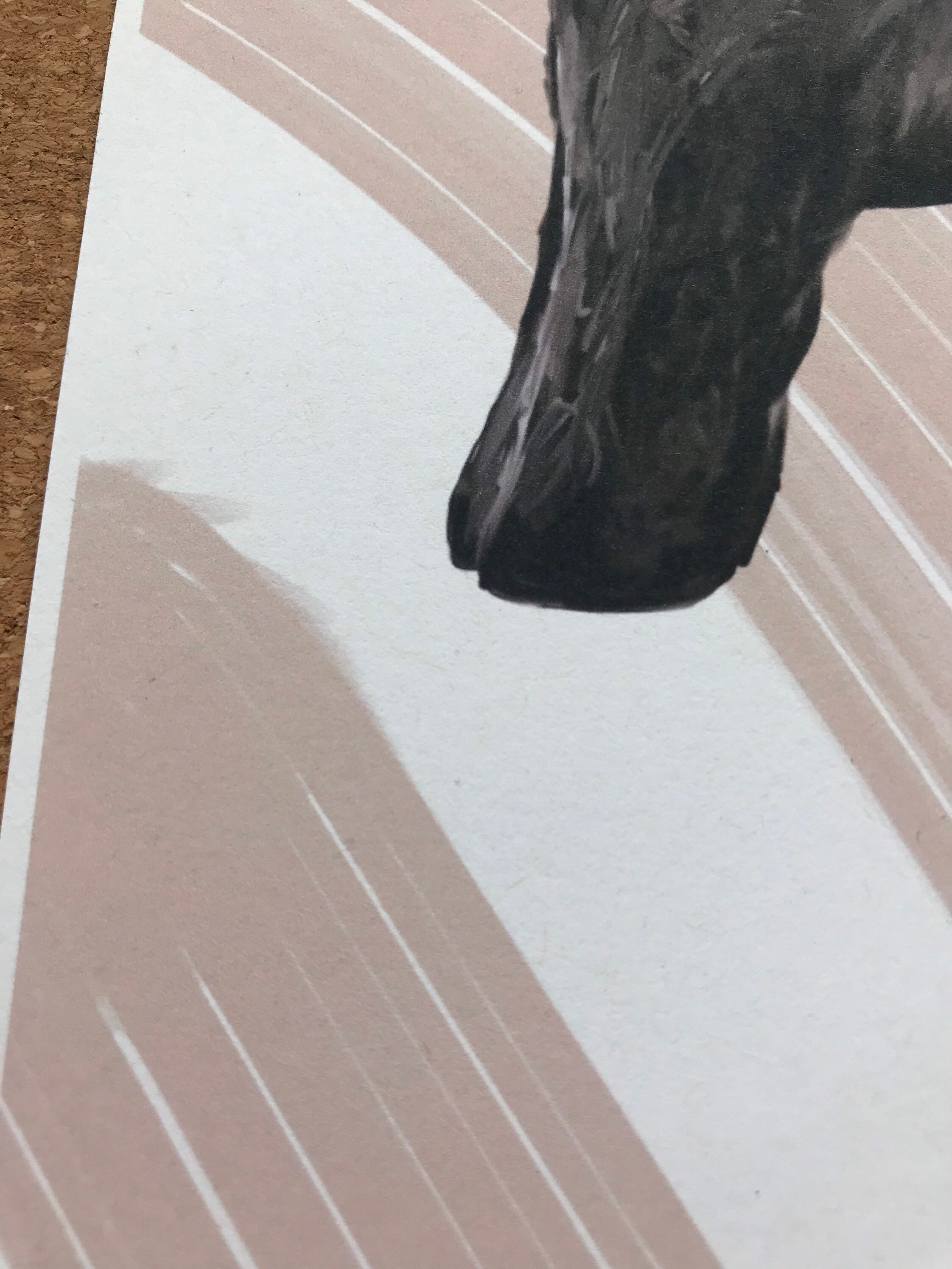 Kerry Blue Terrier Fine Art Print A5 Hand Drawn Terrier Print - Etsy UK
