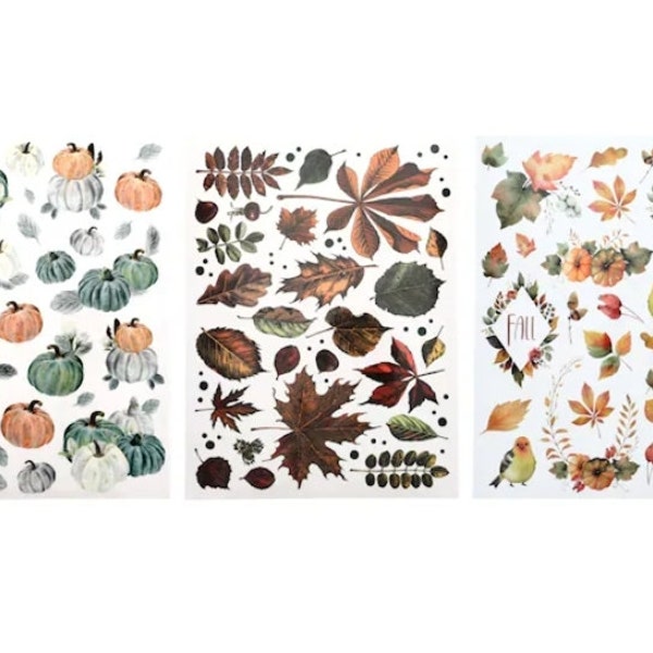 Shop Rub on Transfers - Etsy