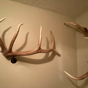 Real Elk Antler Towel Coat Hat Rack Bathroom Rustic Furniture Antler ...