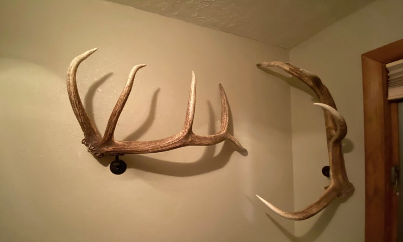 Real Elk Antler Towel Coat Hat Rack Bathroom Rustic Furniture Antler ...