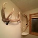 Real Elk Antler Towel Coat Hat Rack Bathroom Rustic Furniture Antler ...