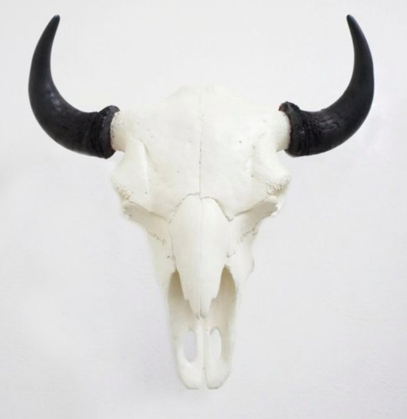 Faux European Buffalo Bison Skull Mount Rustic Furniture Log Cabin ...