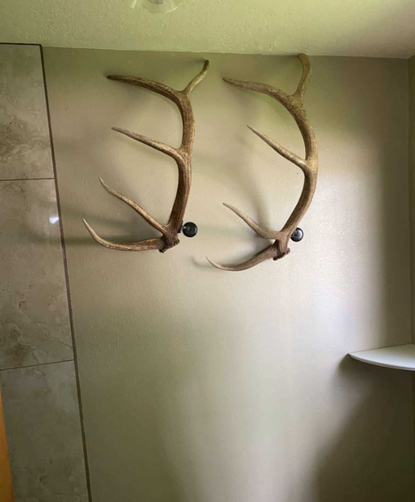 Real Elk Antler Towel Coat Hat Rack Bathroom Rustic Furniture Antler ...