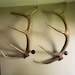Real Elk Antler Towel Coat Hat Rack Bathroom Rustic Furniture Antler ...