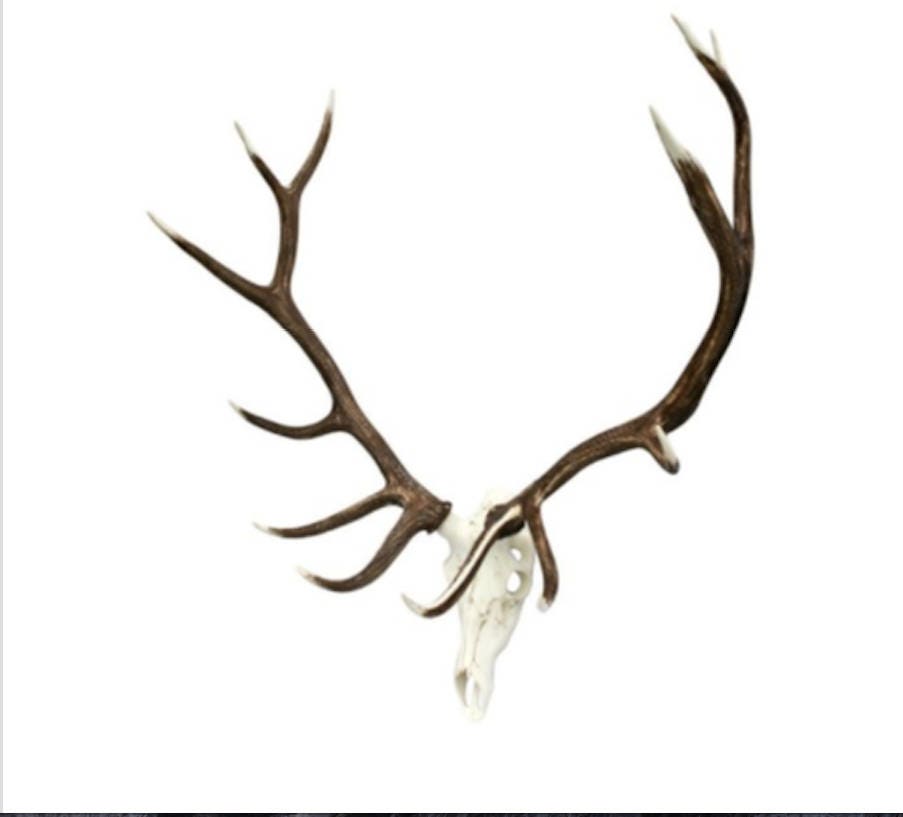 European Mount Skull Mount Faux Elk Antler Rustic Cabin Decor ...