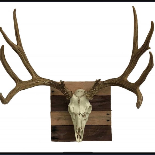 European Mount - Etsy