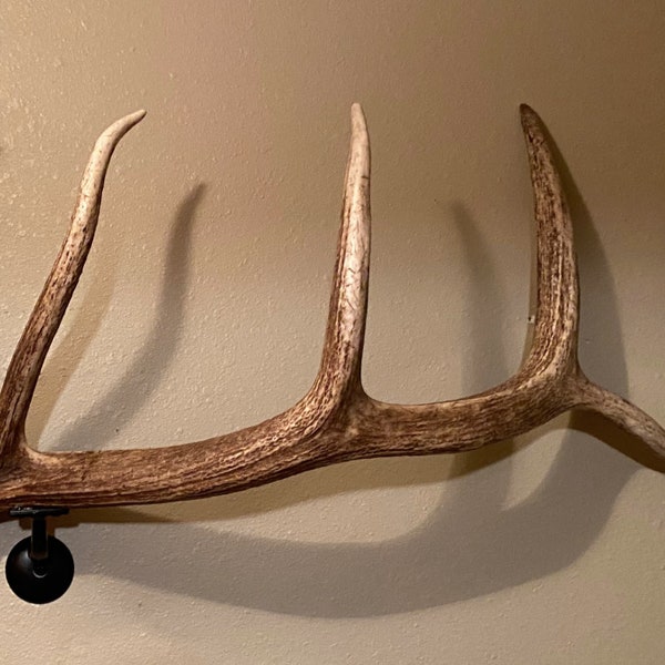 Antler Rack - Etsy