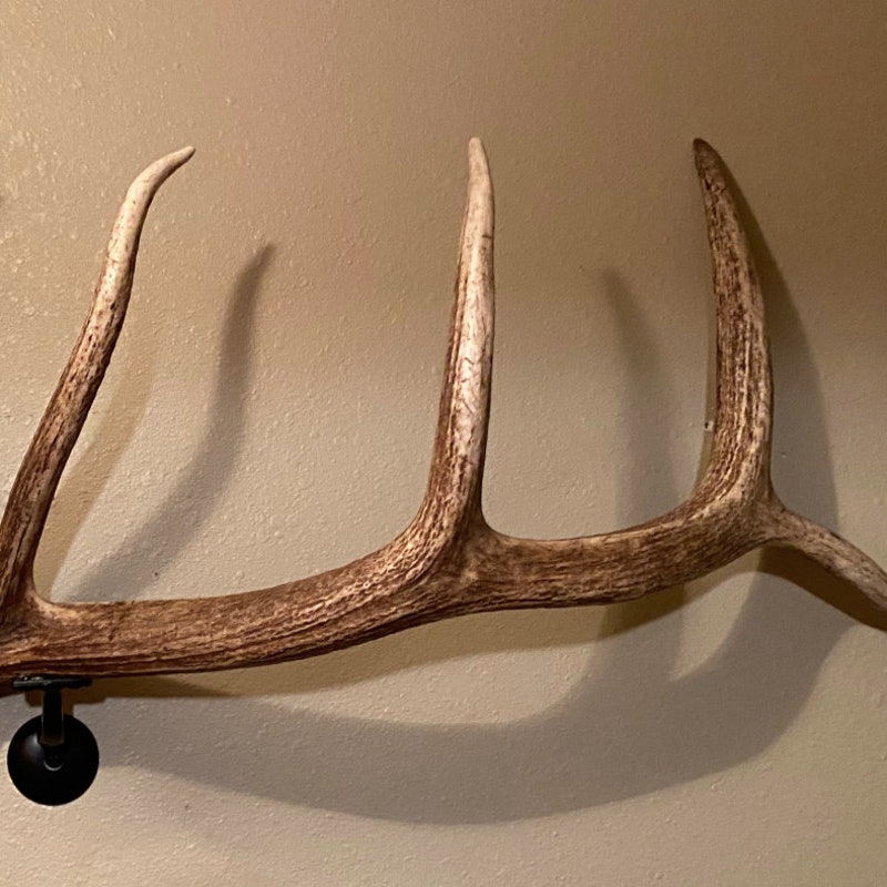 Antler Wall Rack - Etsy