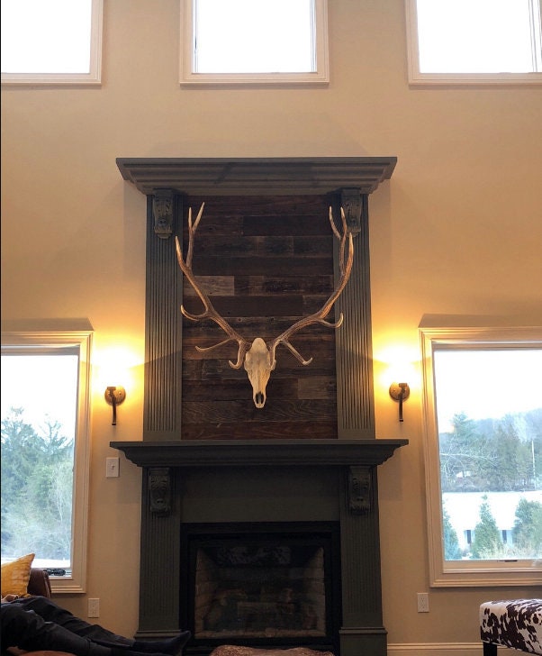 European Mount Skull Mount Faux Elk Antler Rustic Cabin Decor ...