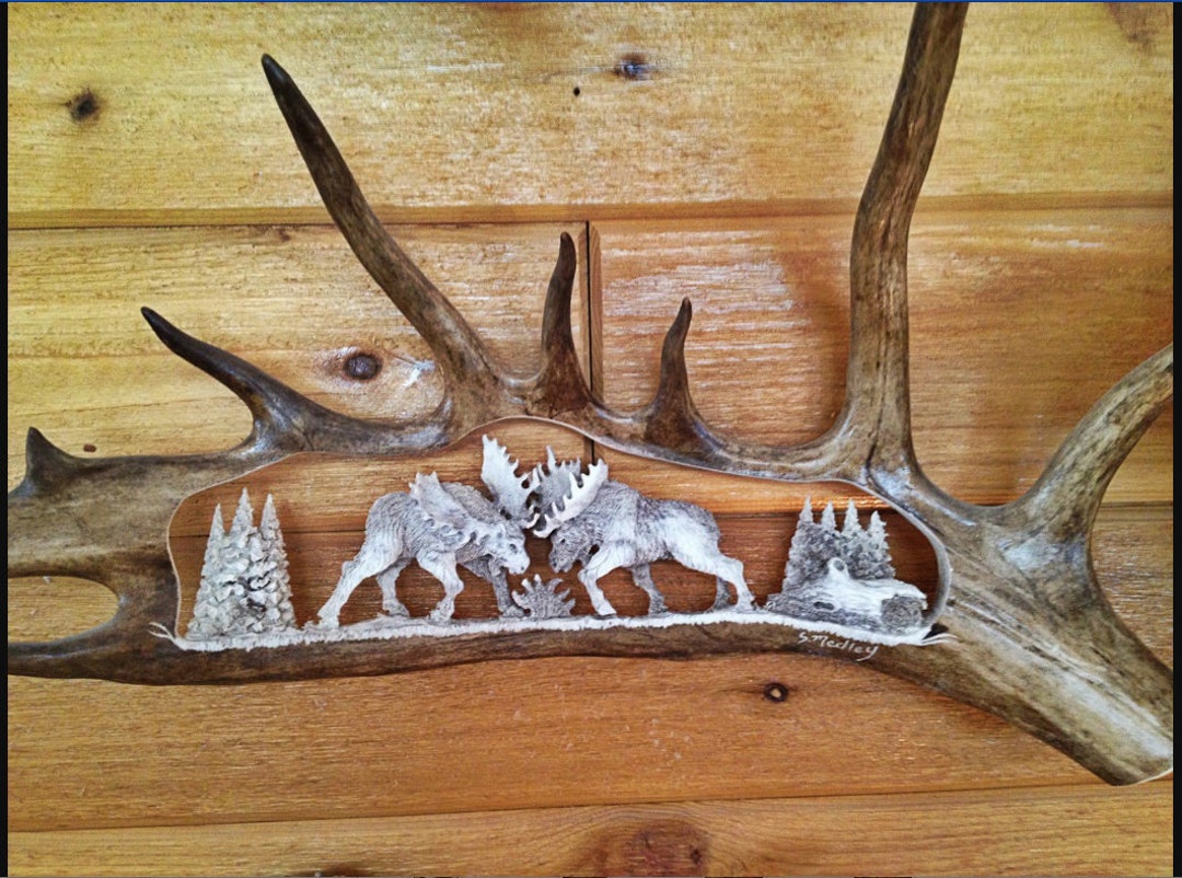 Antler Carving Moose Antler Carvings Moose Antler Art Moose Carvings ...