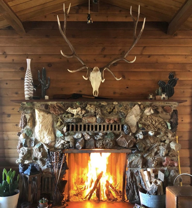 European Mount Skull Mount Faux Elk Antler Rustic Cabin Decor ...