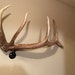 Real Elk Antler Towel Coat Hat Rack Bathroom Rustic Furniture Antler ...