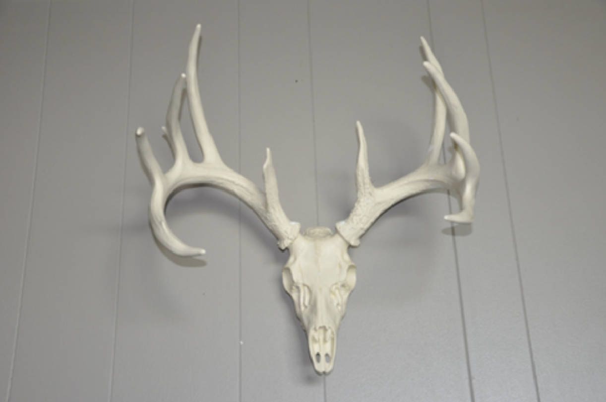 European Mount Skull Mount Faux Deer Antler Decor Rustic Furniture - Etsy