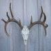 European Mount Skull Mount Faux Deer Antler Decor Rustic Furniture - Etsy