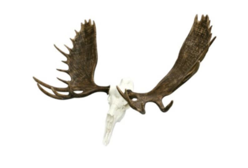 Faux Moose European Mount Skull Mount Antler Decor Cabin Decor ...
