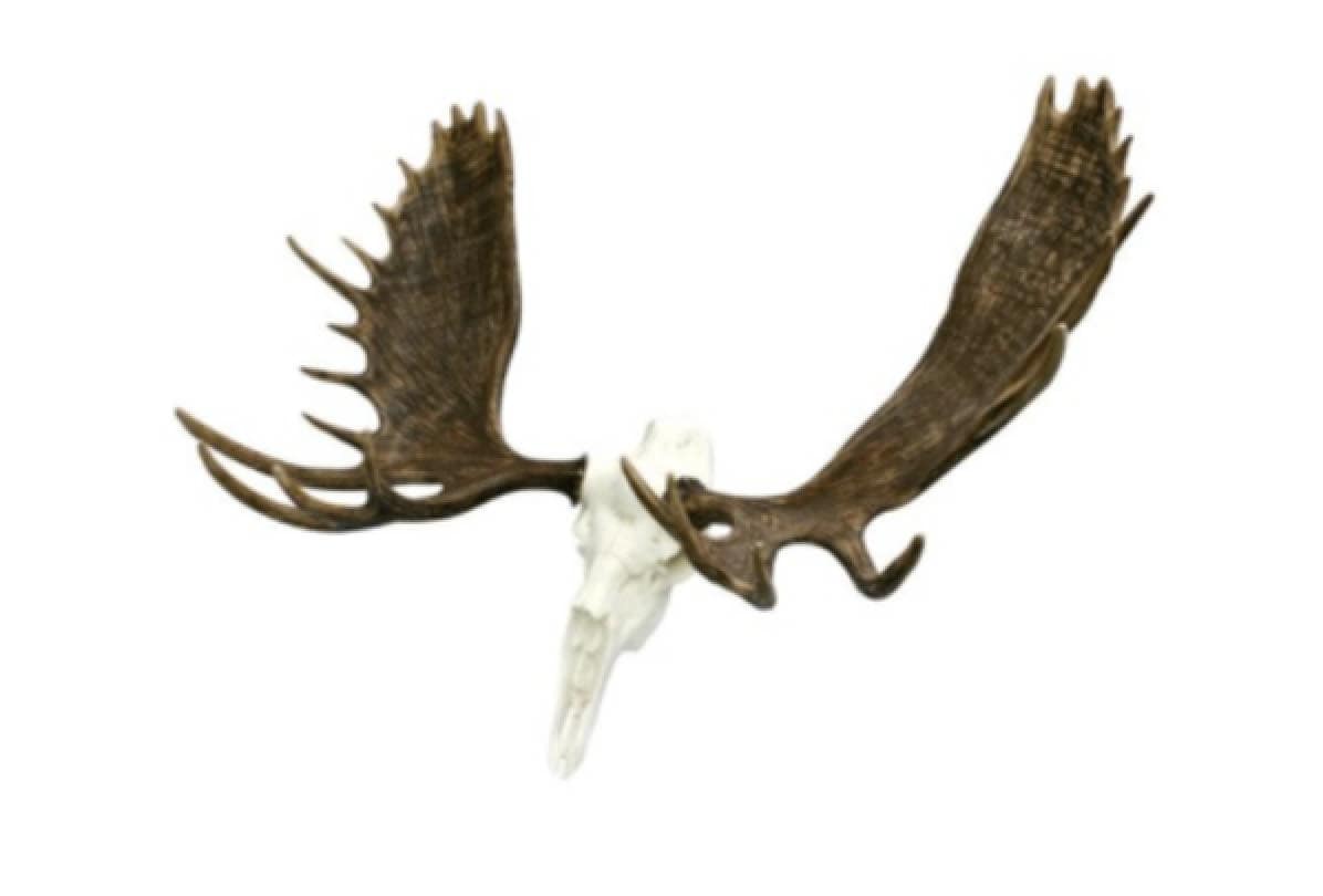 Faux Moose European Mount Skull Mount Antler Decor Cabin Decor ...