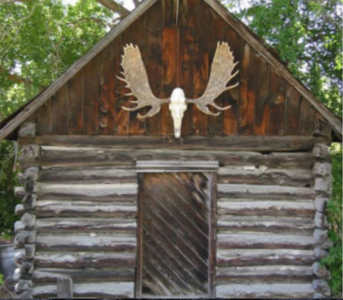 Faux Moose European Mount Skull Mount Antler Decor Cabin Decor ...