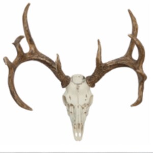 European Mount Skull Mount Faux Deer Antler Decor Rustic Furniture - Etsy