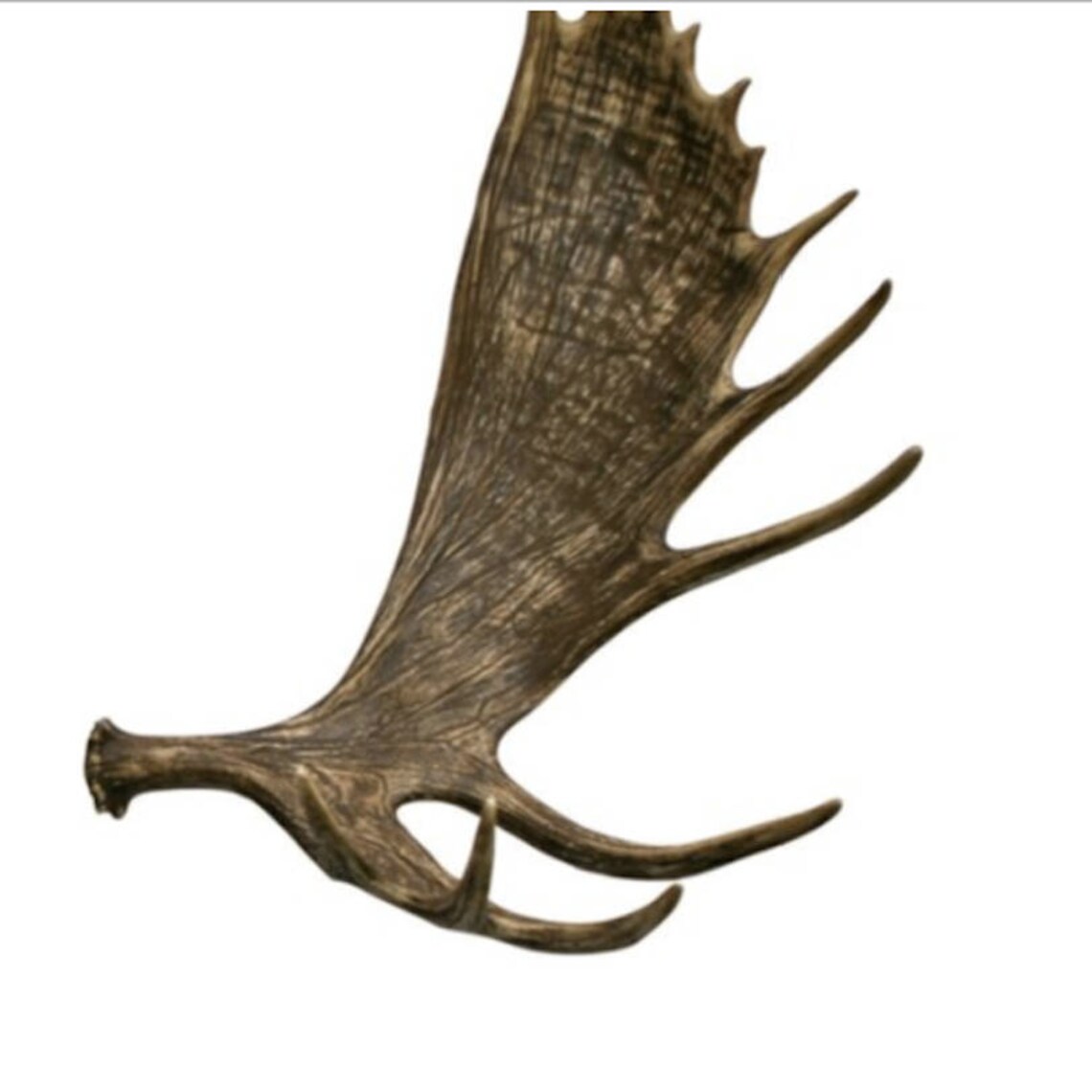 Moose Antler Faux Moose Antler Antler Decor Rustic Decor Moose - Etsy