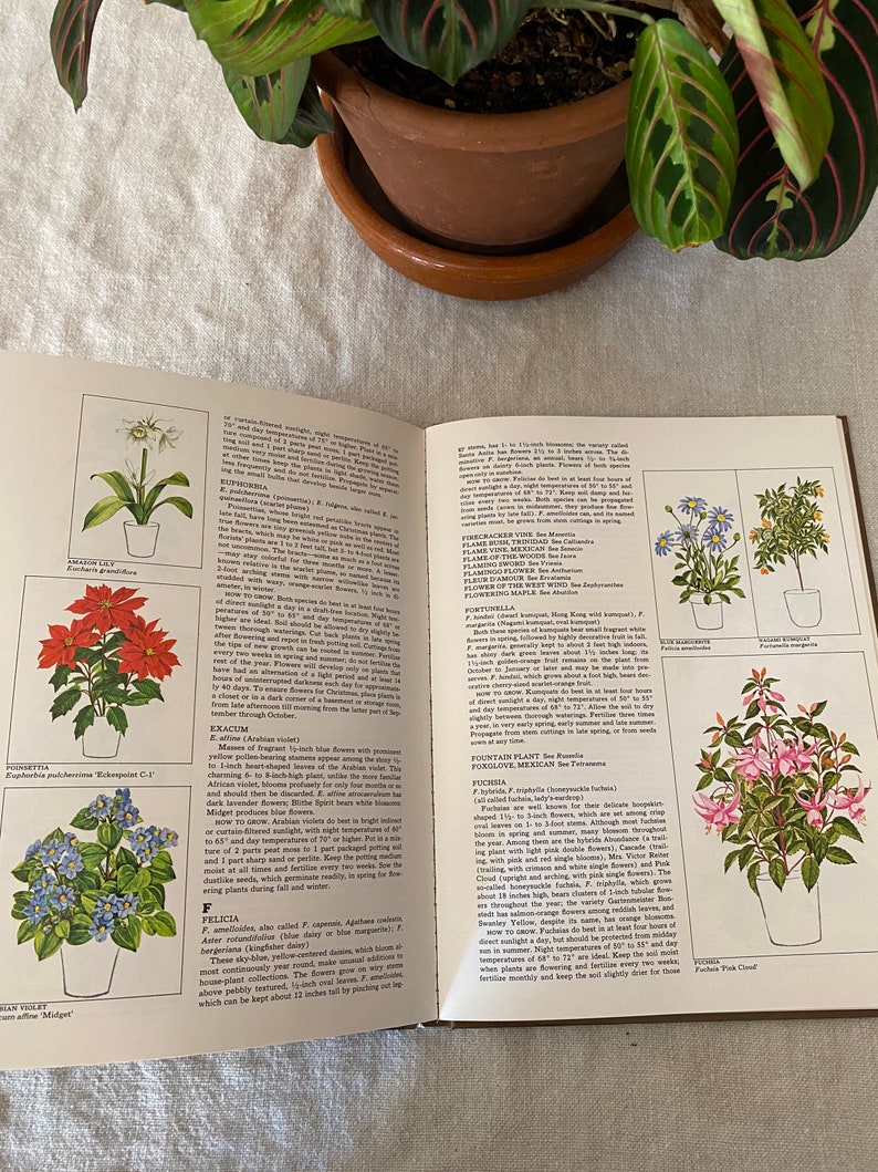 Vintage flowering House Plants Guide Book : How to Care - Etsy