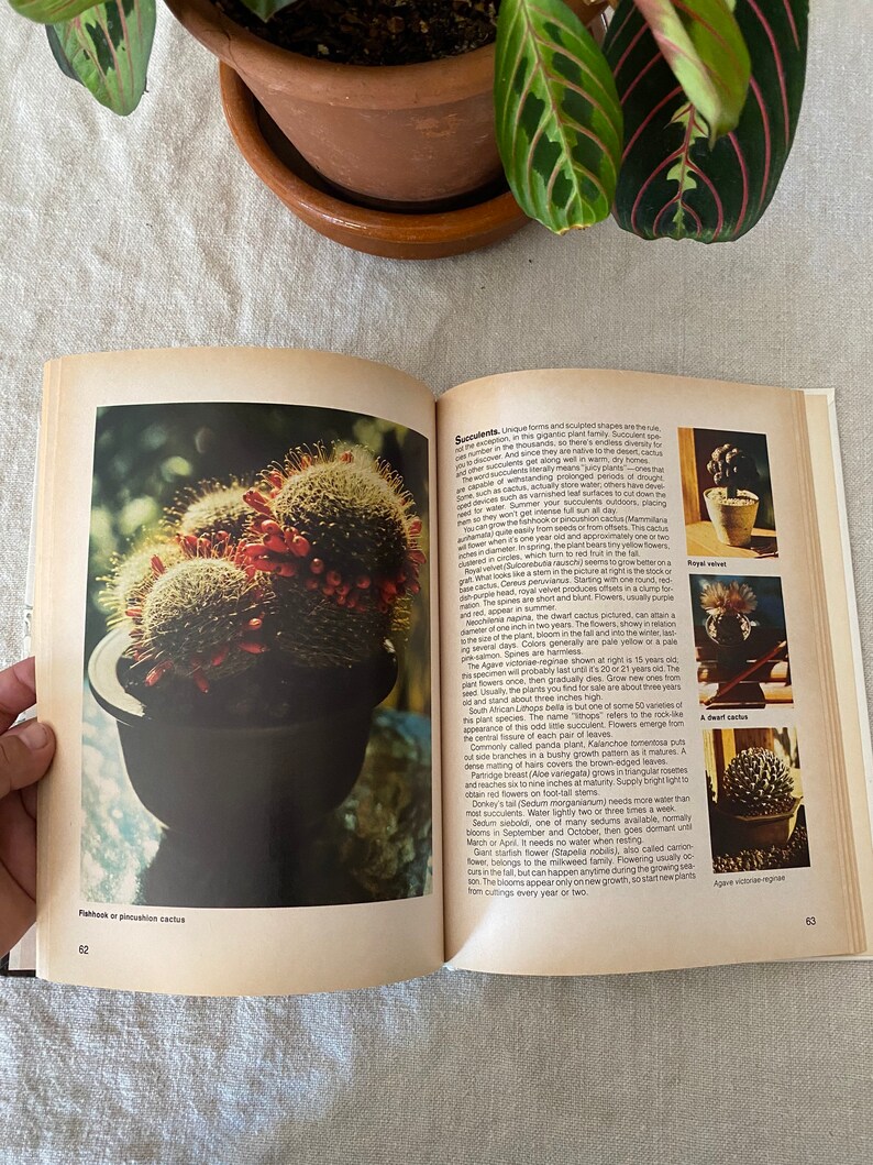 Vintage Favorite Houseplants Guide Book : How to - Etsy
