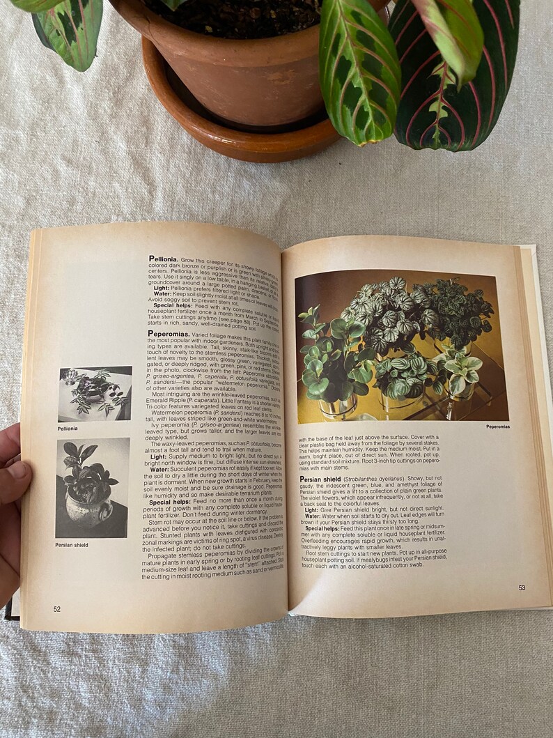 Vintage Favorite Houseplants Guide Book : How to - Etsy