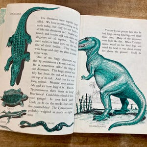 Vintage 1960 Dinosaur Book - Etsy