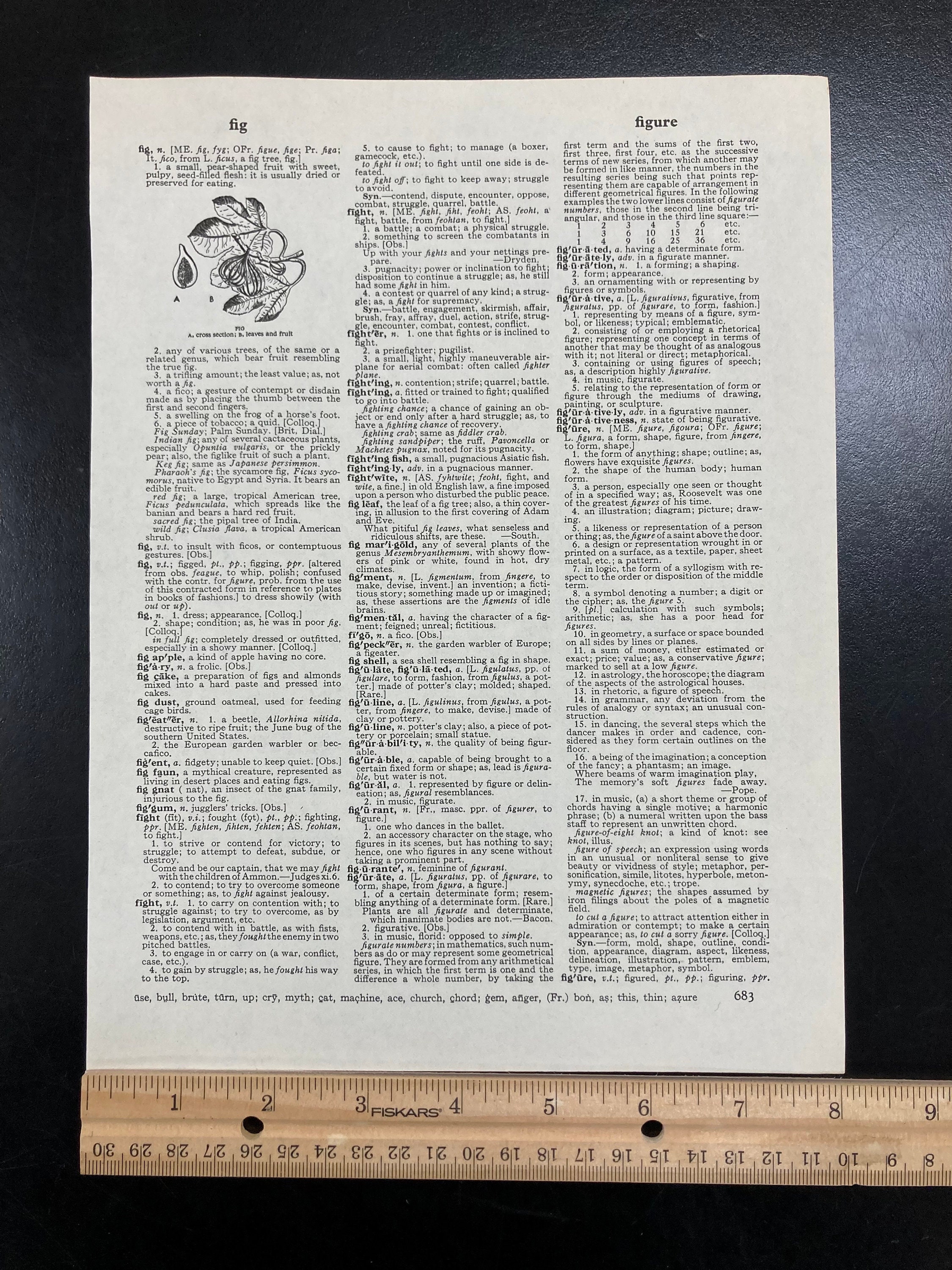 30 Vintage Dictionary Pages Large - Etsy
