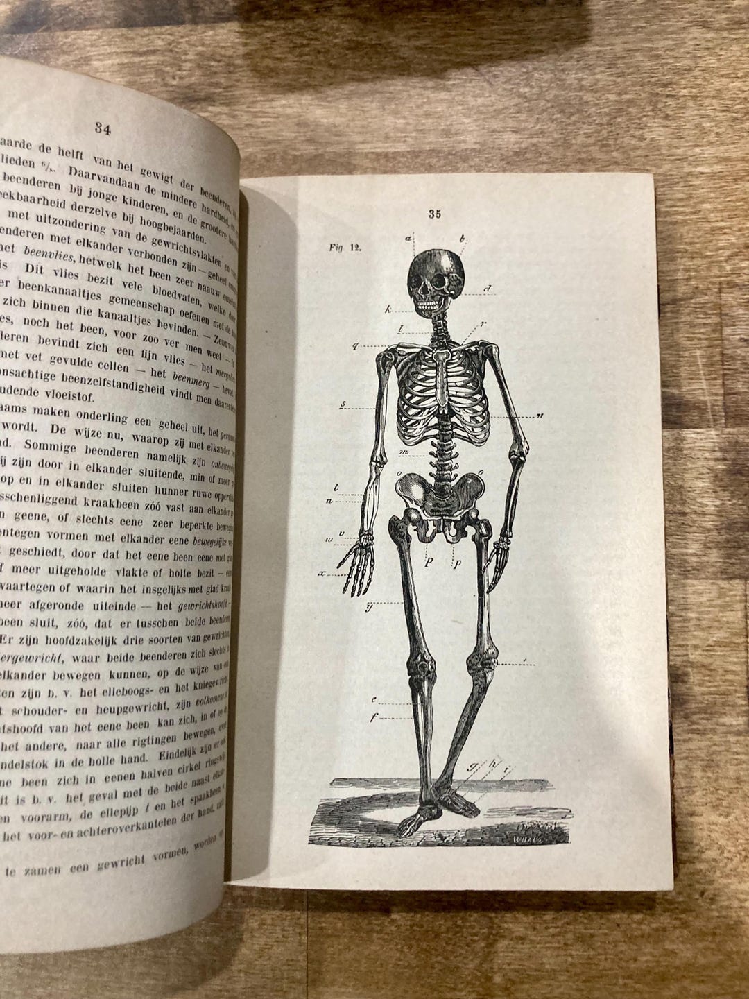 Antique Human Anatomy Book Dutch 1868. - Etsy