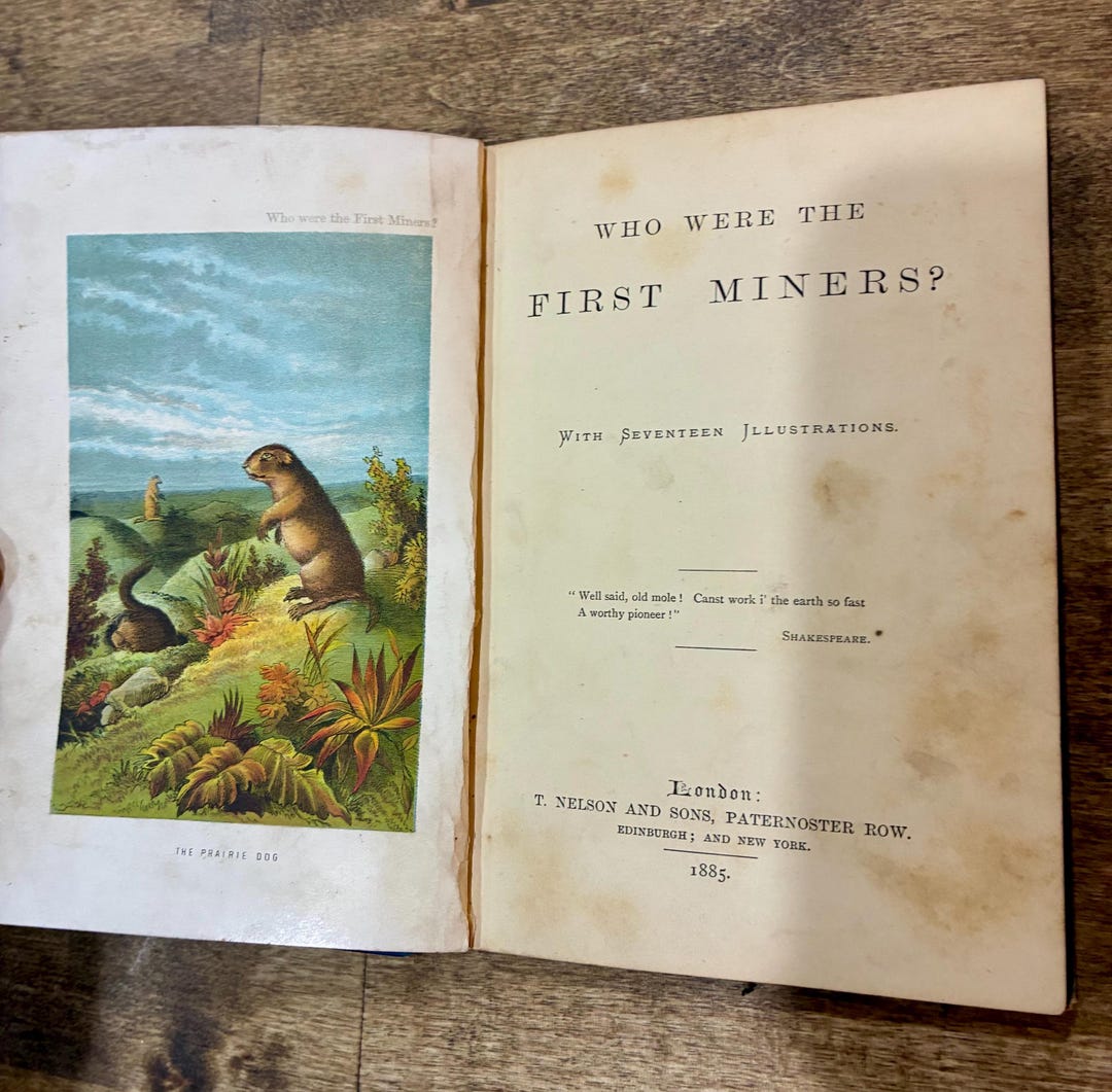 1885 Animal Book - Who Were the First Miners - Etsy