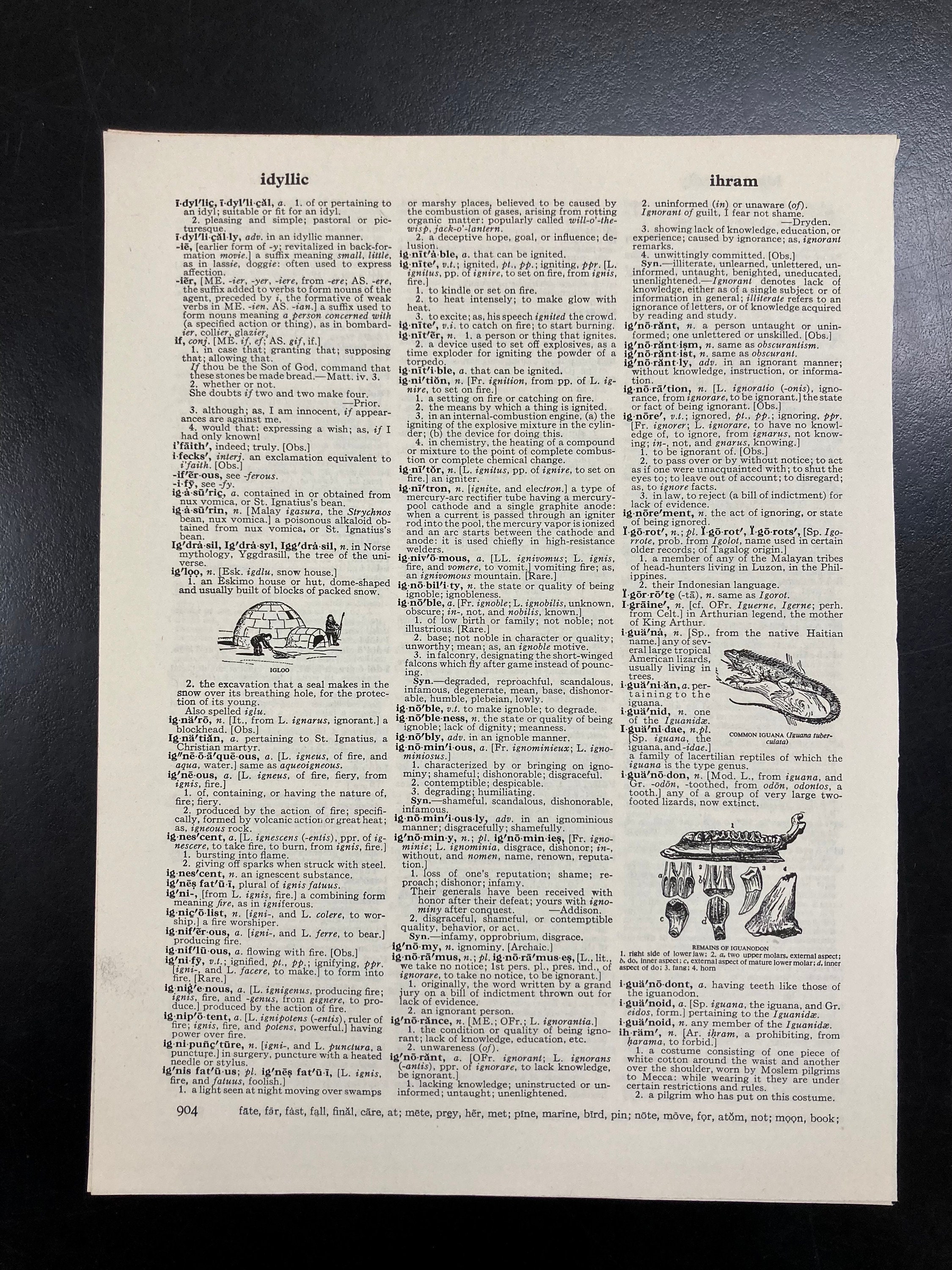 30 Vintage Dictionary Pages Large - Etsy