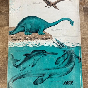 Vintage 1960 Dinosaur Book - Etsy
