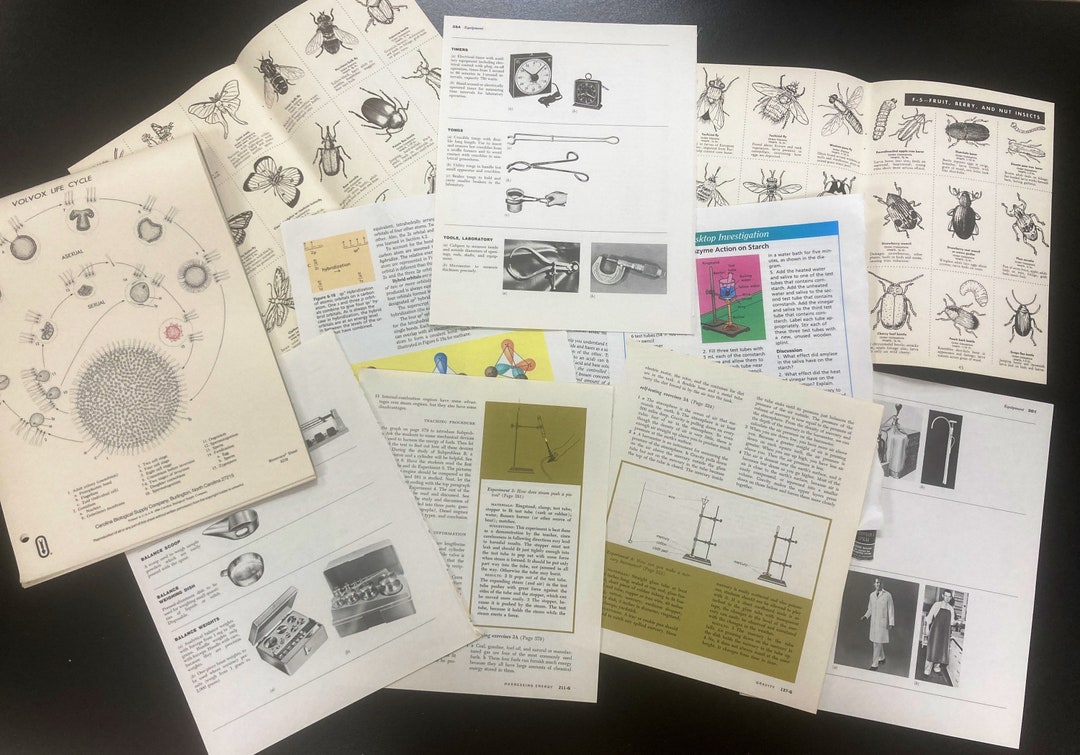 Bundle of Vintage Science Pages. 20 Assorted Pages. - Etsy