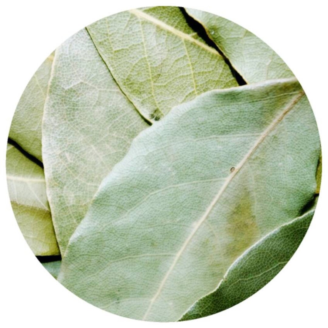 Tamala Essential Oil Wildcrafted Cinnamomum Tamala Ct Linalool ...