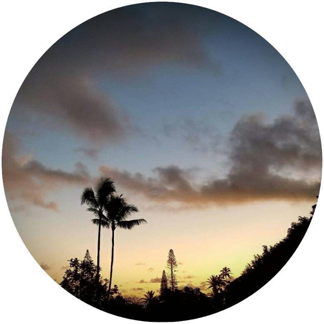 Massoia Bark CO2 Select Essential Oil Cryptocarya Massoia Rare Creamy ...