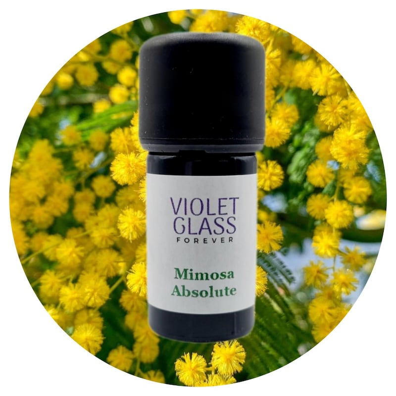 Tree Perfume French - Etsy