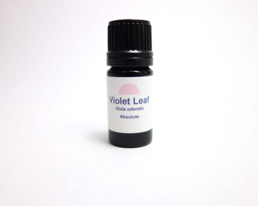 Violet Leaf Absolute viola Odorata Organic Absolute Perfumery Perfume ...