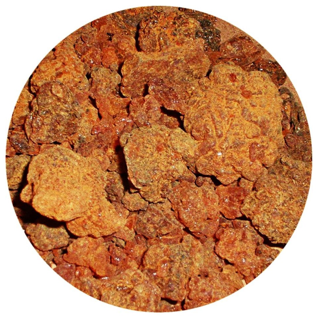 Opoponax Absolute Oil France Commiphora Erythraea Opobalsam Base Note Natural Perfume Perfumery ...