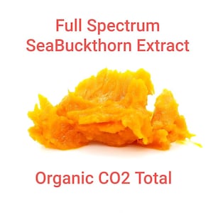 Sea Buckthorn Pulp Full Spectrum CO2 Extract Seabuckthorn Hippophae ...